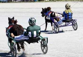 Home [www.truroraceway.ca]